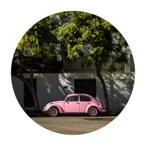 Sally Ann Field - Punch Bug | LensCulture