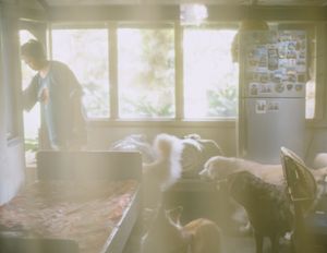 Arief Priyono - The Protected Neighbourhood | LensCulture