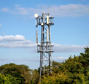 Roger Hopgood - Dead Zone: Denge Wood (2016); 3G Hinterland: Denge Wood ...