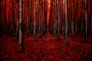 Adriana Michima | LensCulture