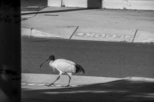 Jennifer Reitz | LensCulture