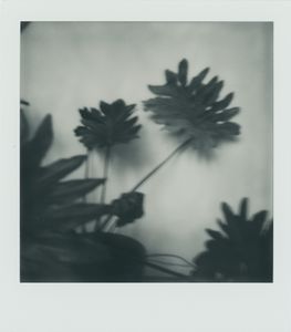 Lars Samuelsson | LensCulture