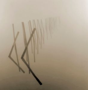 Sandra Russell Clark | LensCulture