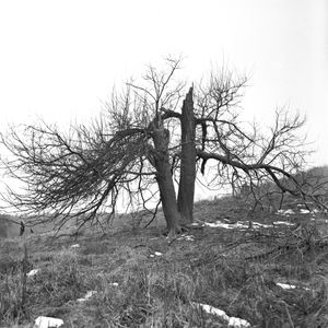 Stefan Neagu - Lost Souls | LensCulture