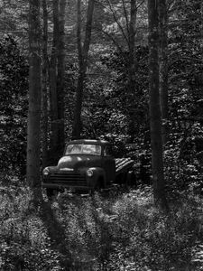 Hank Gans | LensCulture