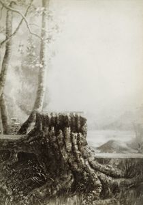 Absence Portraits - LensCulture