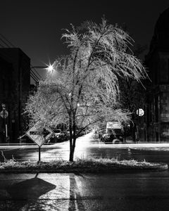 Colin Surprenant - Crystal Chaos: The Aesthetic Beauty of Freezing Rain ...
