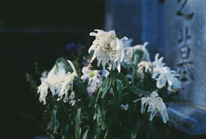 HIroshi Terada - graveyard flowers | LensCulture