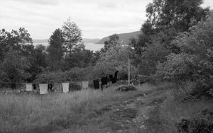 Scoraig - LensCulture