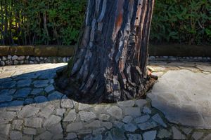 Holger Martin | LensCulture