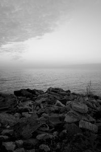 Hillary Johnson | LensCulture