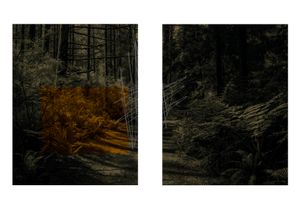 Arrayah Loynd - Come and find me, Vol. I - Book | LensCulture