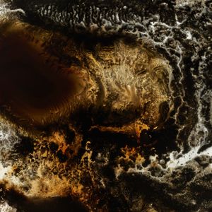 Ron Geipel - “Photographs Modified by Bacteria” | LensCulture