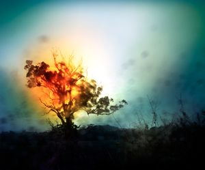 Anna's Collection - Anna Dada | LensCulture