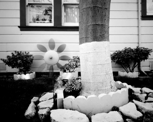 Peter Tonningsen - Steps | LensCulture