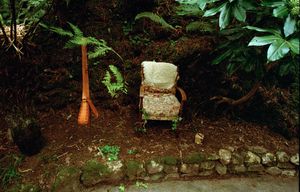 Eiran Lapham | LensCulture