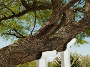 Christopher Valentine | LensCulture