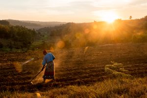 Steve Freeman | LensCulture