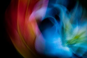 Alexandra Rutherford - Tiger Lily Abstracts | LensCulture