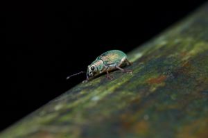 Yan Roussel - Submission | LensCulture