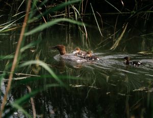 Jeremy Schaller | LensCulture