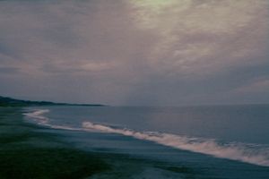 Johnny Savage - Fallout | LensCulture