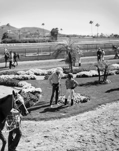 Matt Schoonmaker - Ghosts and Horses | LensCulture