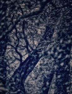 Russell Goodwin - Eye: A Fourfold Vision See | LensCulture
