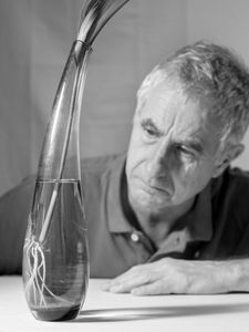 Xavier Mamano | LensCulture