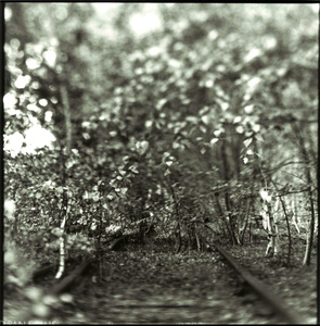 Mark Monk-terry - Power | LensCulture