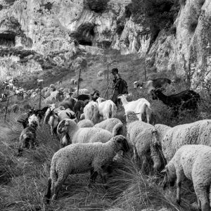 Panajot Begaj - the last shepherd of the Majella | LensCulture