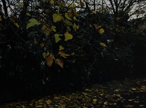 unknown signals - LensCulture