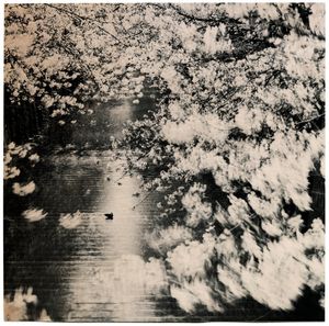 Anna's Collection - Anna Dada | LensCulture