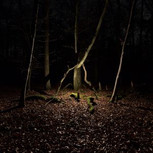 Frank Pichler | LensCulture