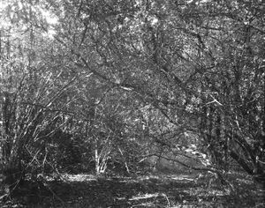 jonty sale - squallsmire | LensCulture