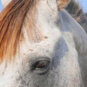 Monirul Alam | LensCulture