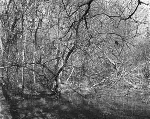 jonty sale - squallsmire | LensCulture