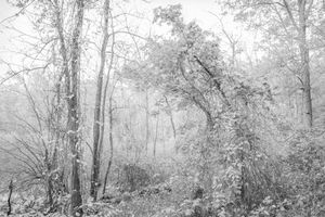 John Hirsch | LensCulture