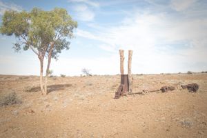 Christopher Rimmer | LensCulture