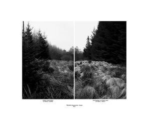 shaun vickers | LensCulture