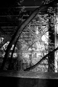 Alex Nyerges | LensCulture