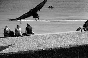 RAY RANKINE | LensCulture