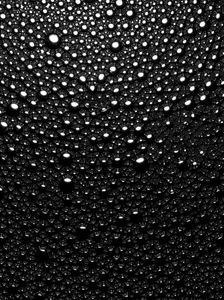 Nicholas Duers - Genesis | LensCulture