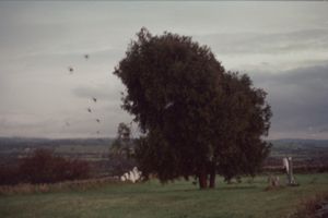 Johnny Savage - Fallout | LensCulture