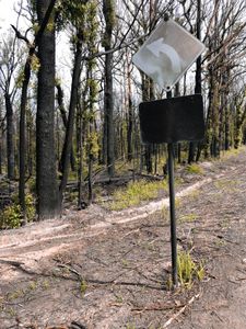 Aaron Croft - Street Series | LensCulture