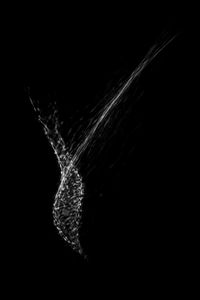 Angelo Dragone - Tricks of the light | LensCulture