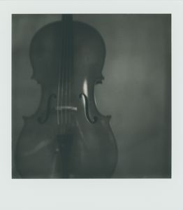 Lars Samuelsson - Fall improvisation | LensCulture