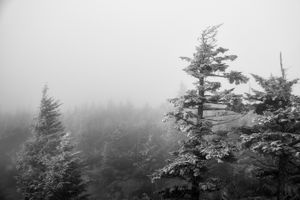 Thomas Croce | LensCulture