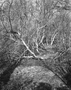 jonty sale - squallsmire | LensCulture