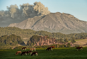 Martin Bernetti - CATCHING CALBUCO | LensCulture